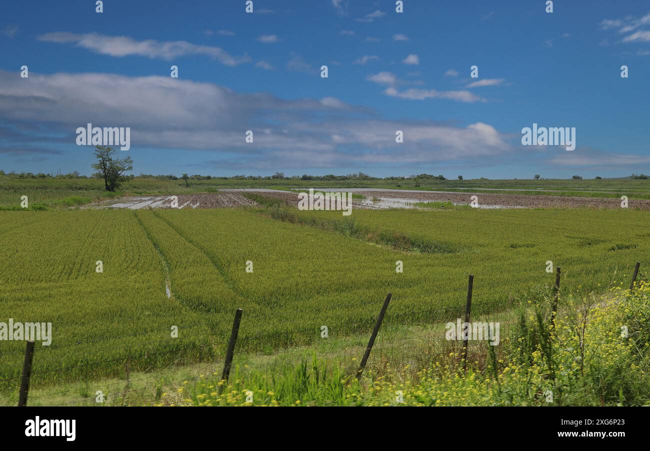 Continuous heavy rain hi-res stock photography and images - Alamy