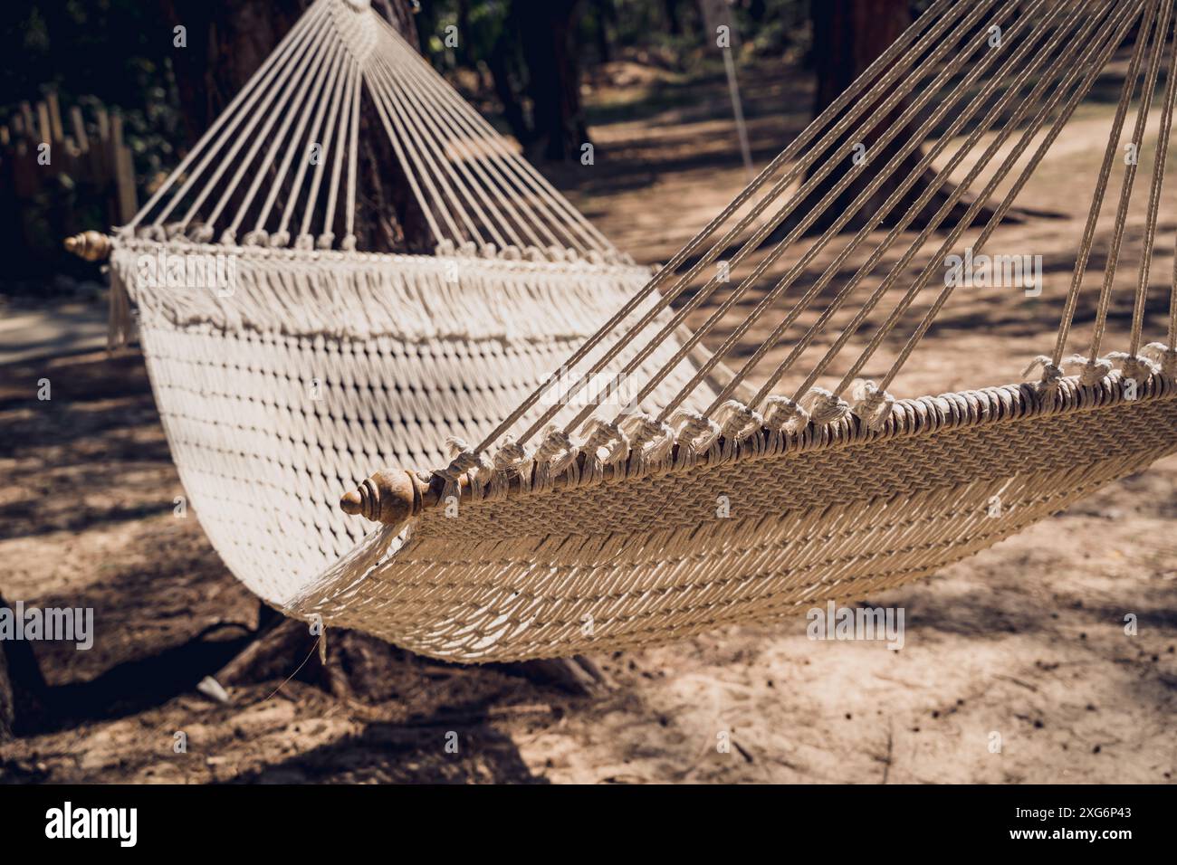 A white rope hammock swings between two trees Stock Photo - Alamy