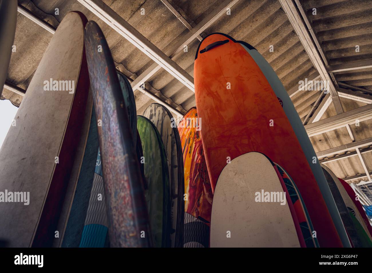 Rack of surfboards for sale hi-res stock photography and images - Alamy