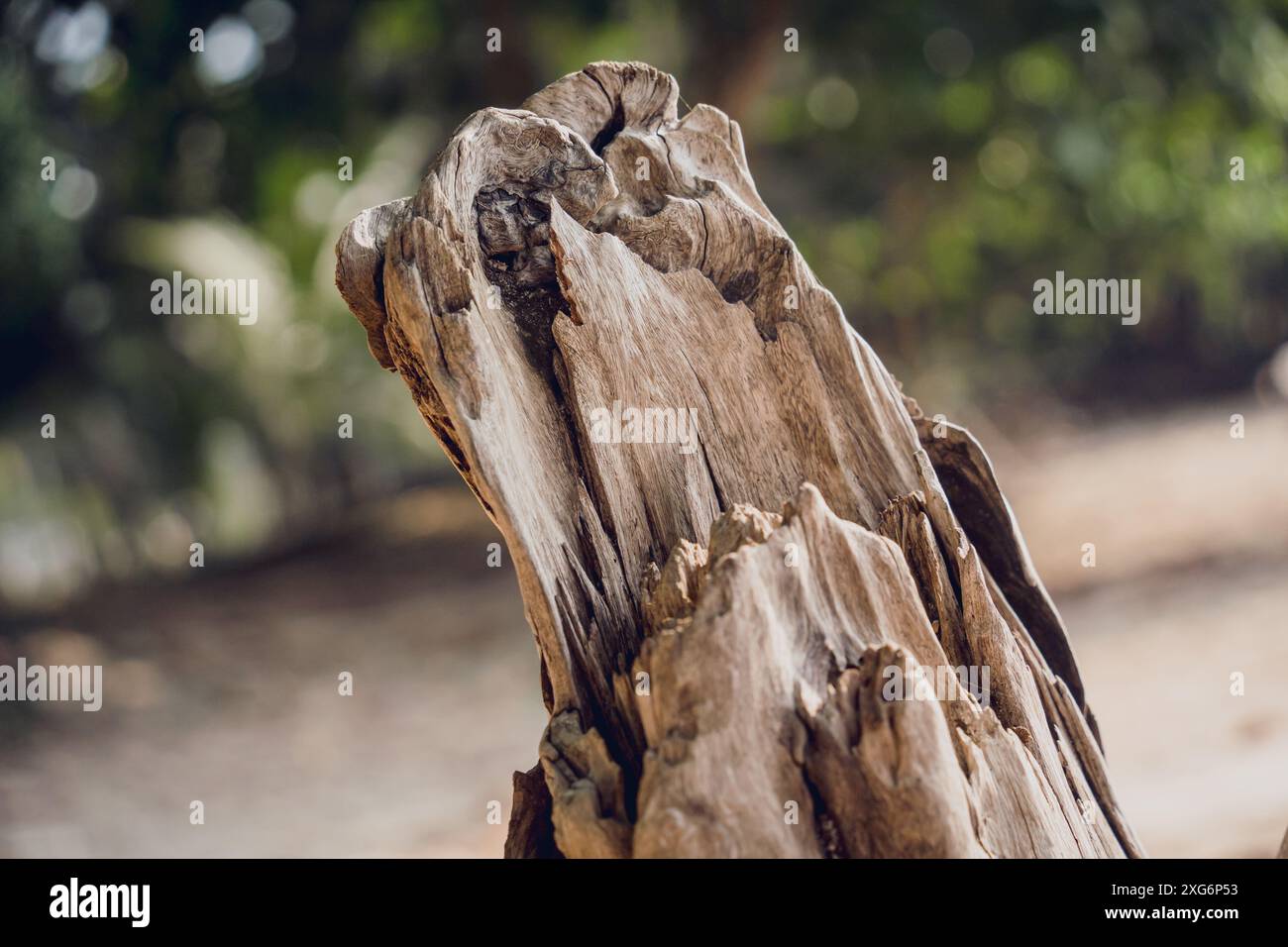 Intricate texture resembling hi-res stock photography and images - Alamy