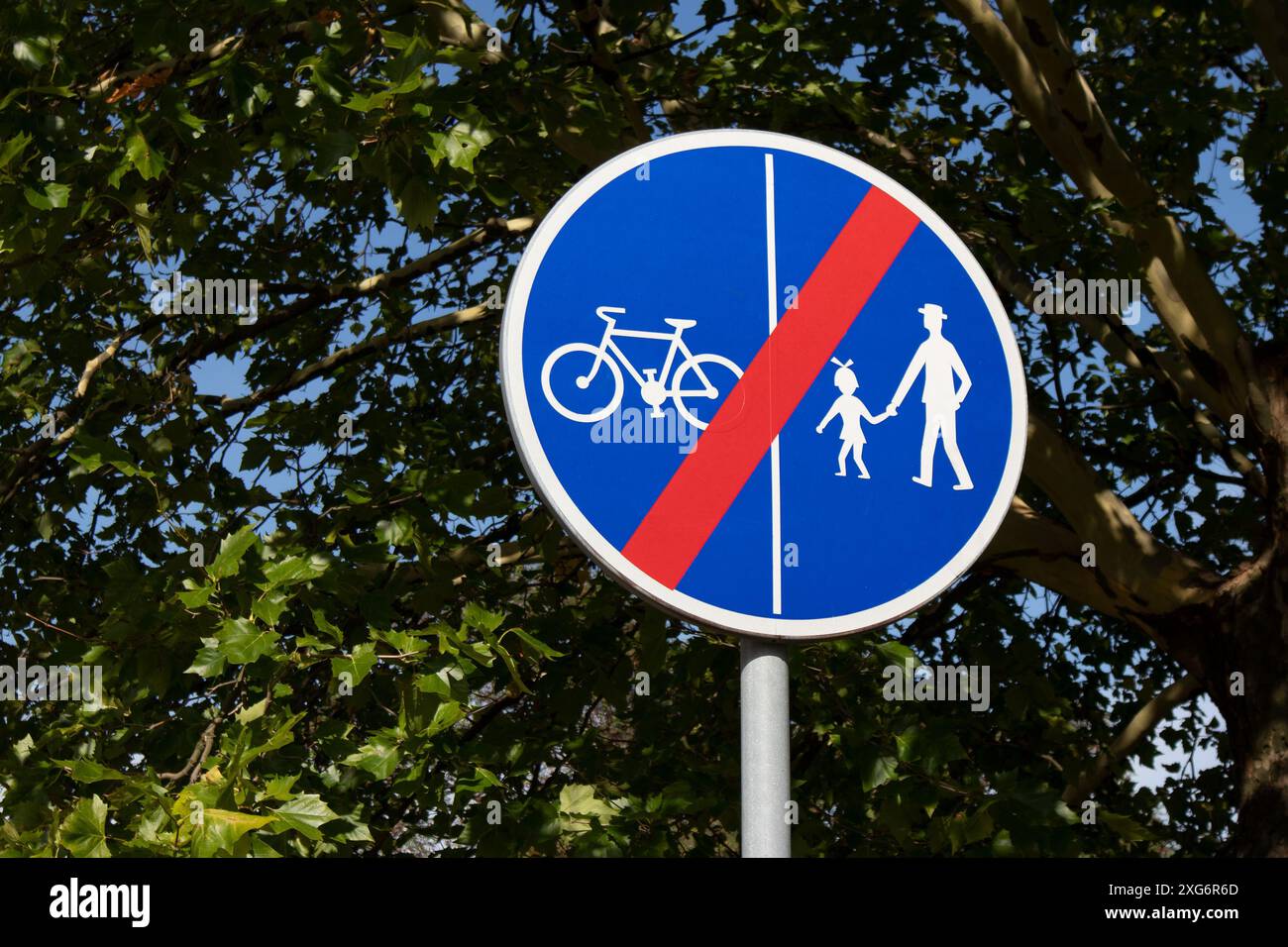 The round blue sign with the tree background showing that the path for ...