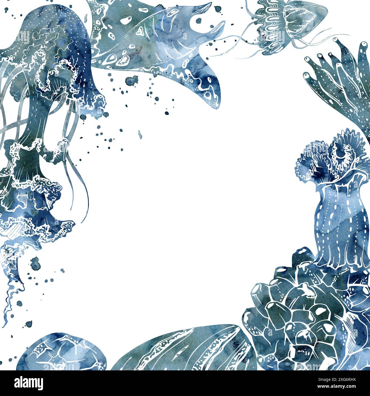Watercolor and ink hand drawn marine life, sea ocean underwater ...