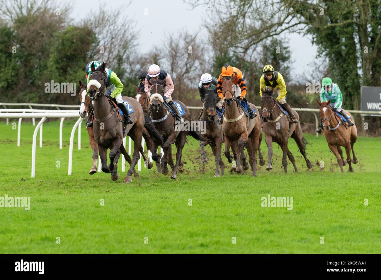 Third race at Wincanton, January 8th 2022 Stock Photo - Alamy