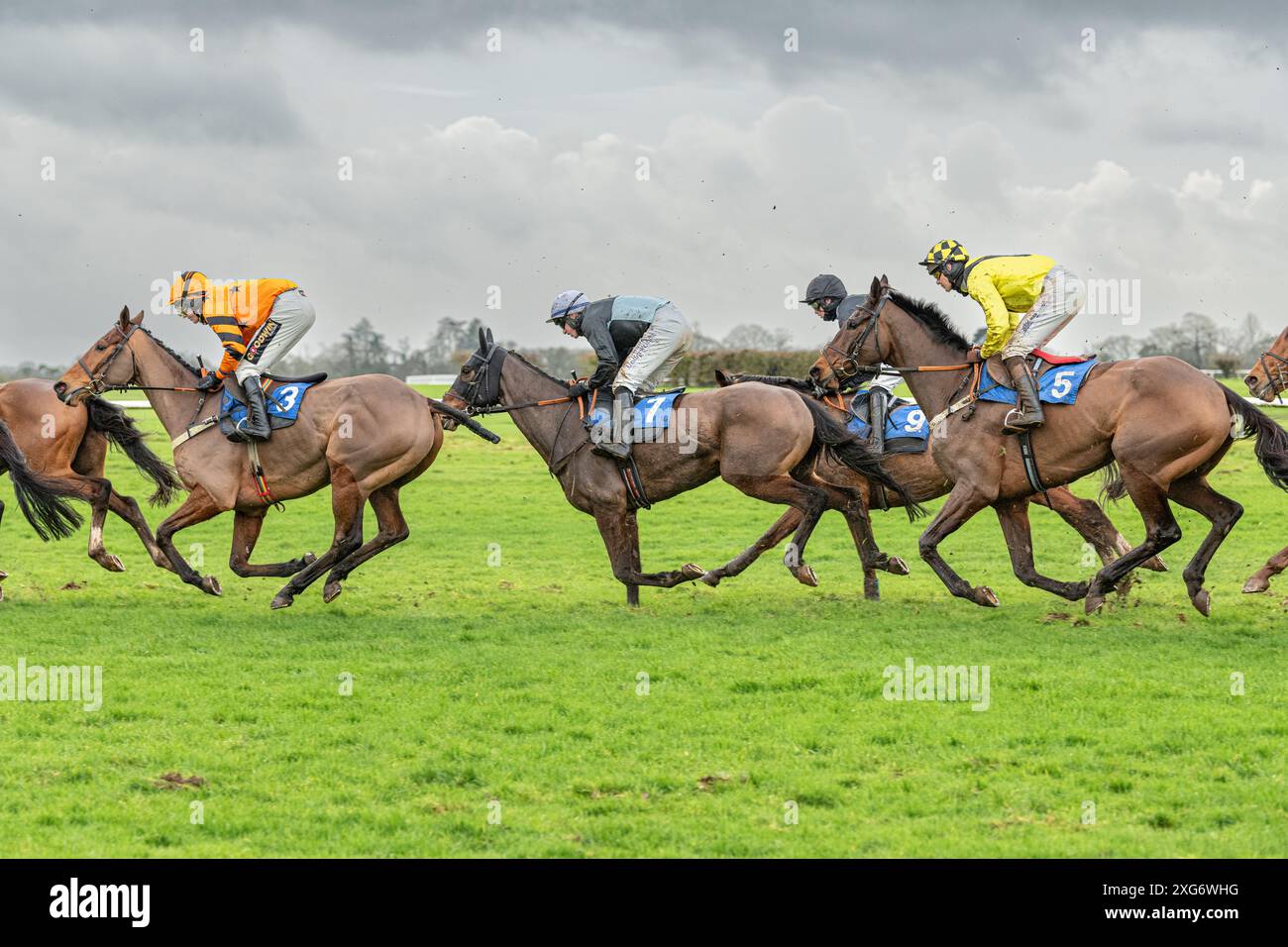 Third race at Wincanton, January 8th 2022 Stock Photo - Alamy