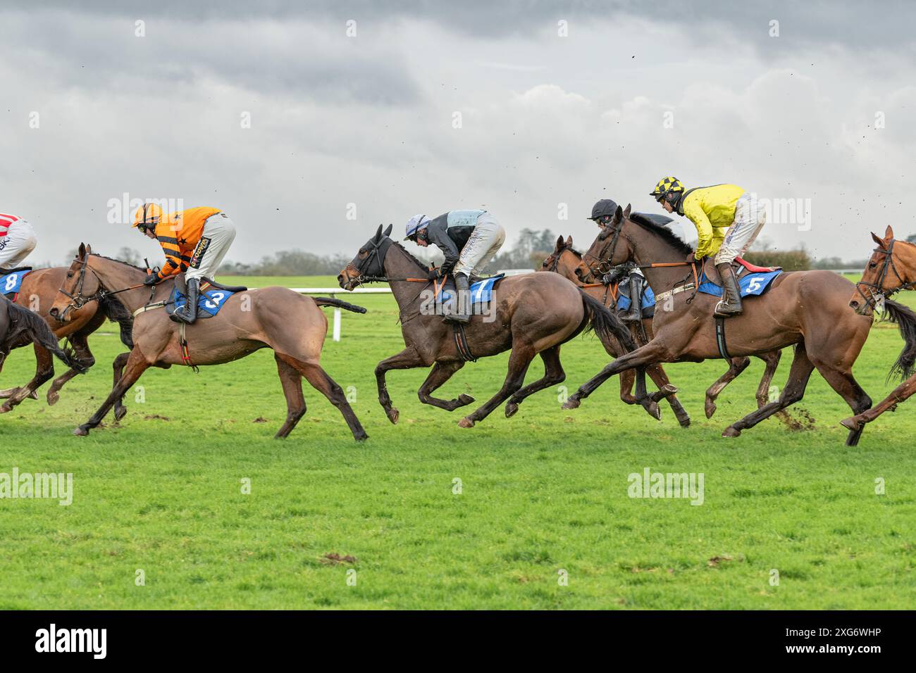 Third race at Wincanton, January 8th 2022 Stock Photo - Alamy