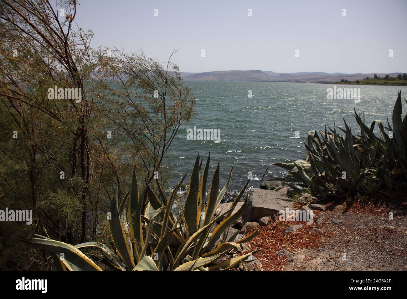 Sea of Galilee in Capernaum, here Jesus Christ spent his life's last ...