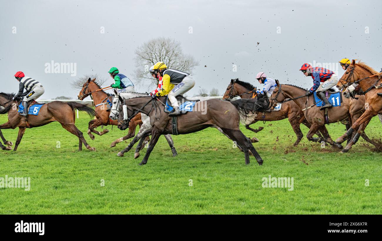 Midnight callisto hi-res stock photography and images - Alamy