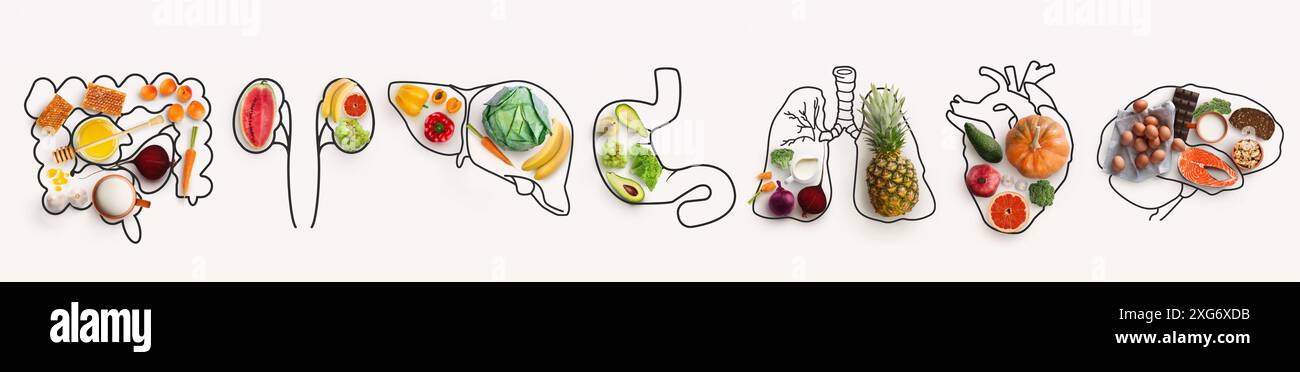 Best menu for healthy body. Collage with outlines of human internal ...