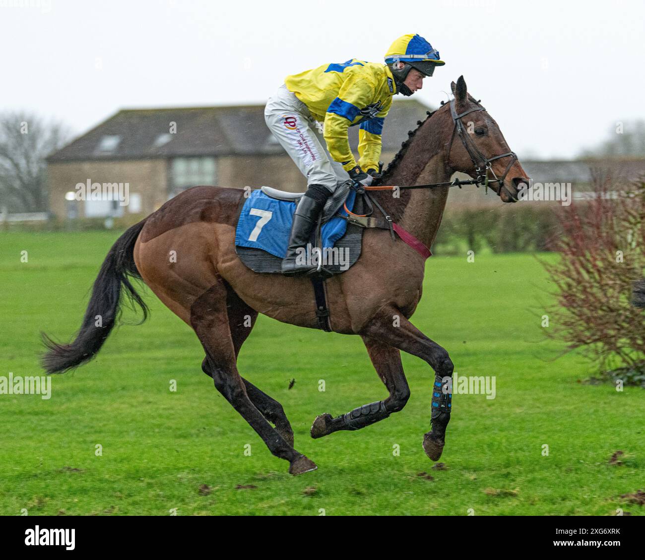 Fifth race at Wincanton, January 8th 2022 Stock Photo - Alamy