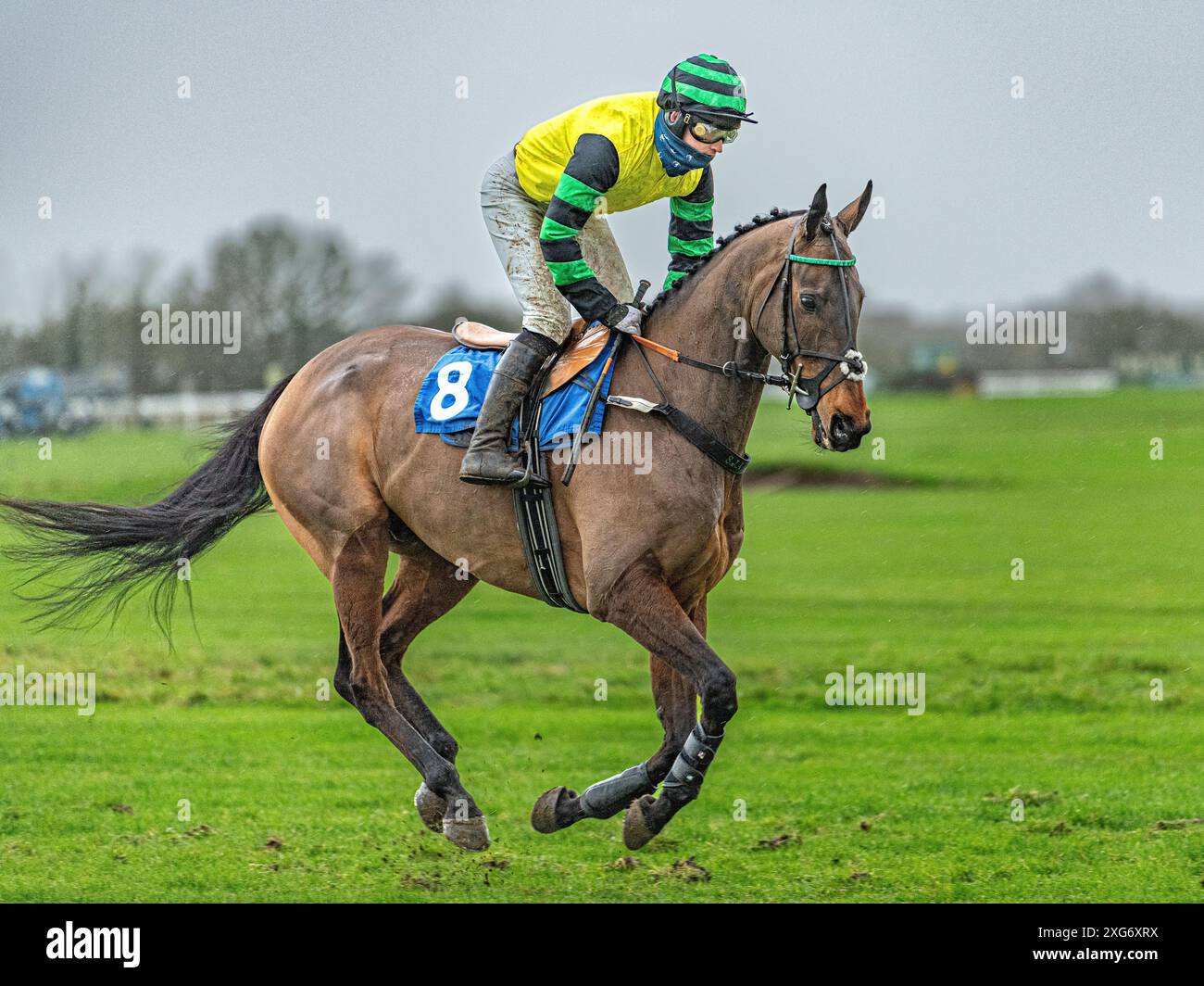 Fifth race at Wincanton, January 8th 2022 Stock Photo - Alamy
