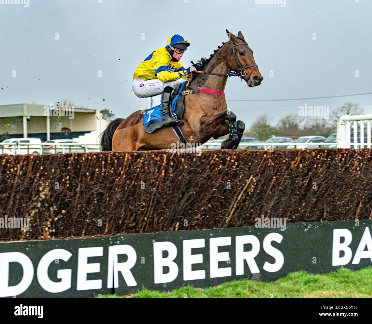 Fifth race at Wincanton, January 8th 2022 Stock Photo - Alamy