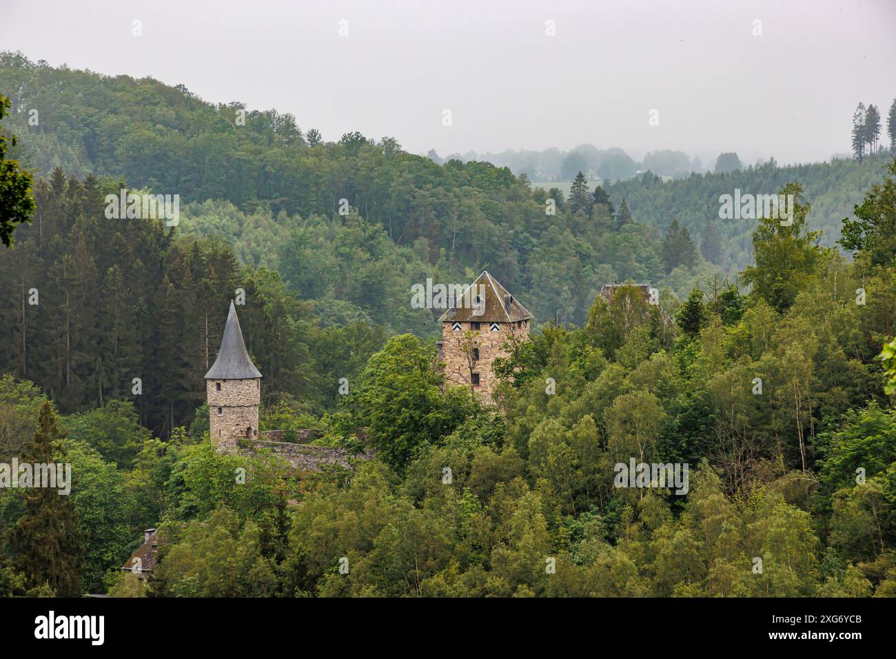 Warche Valley with towers of Reinhardstein Castle rising above treetops ...