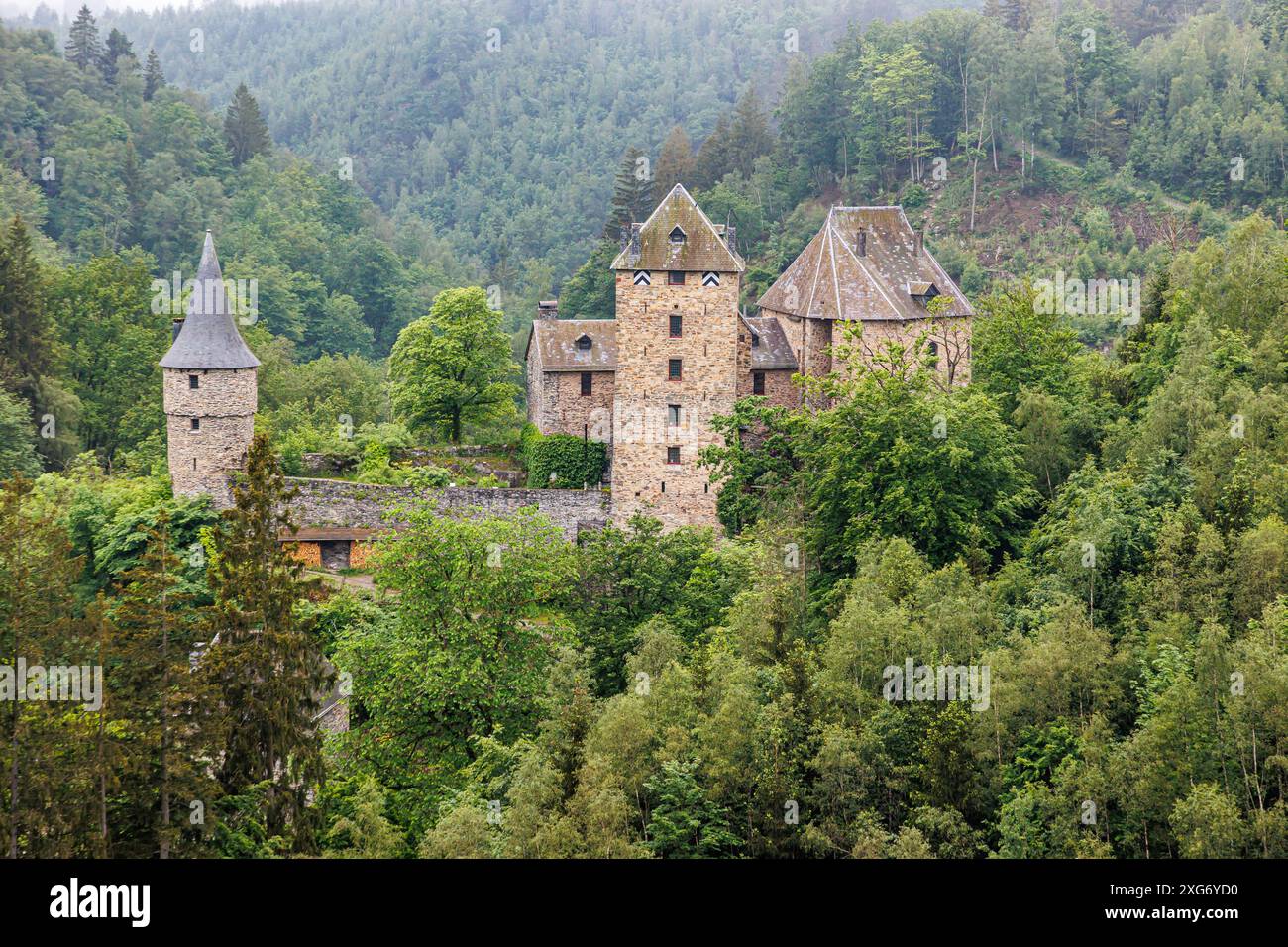 Warche valley with Reinhardstein castle between mountains from aerial ...