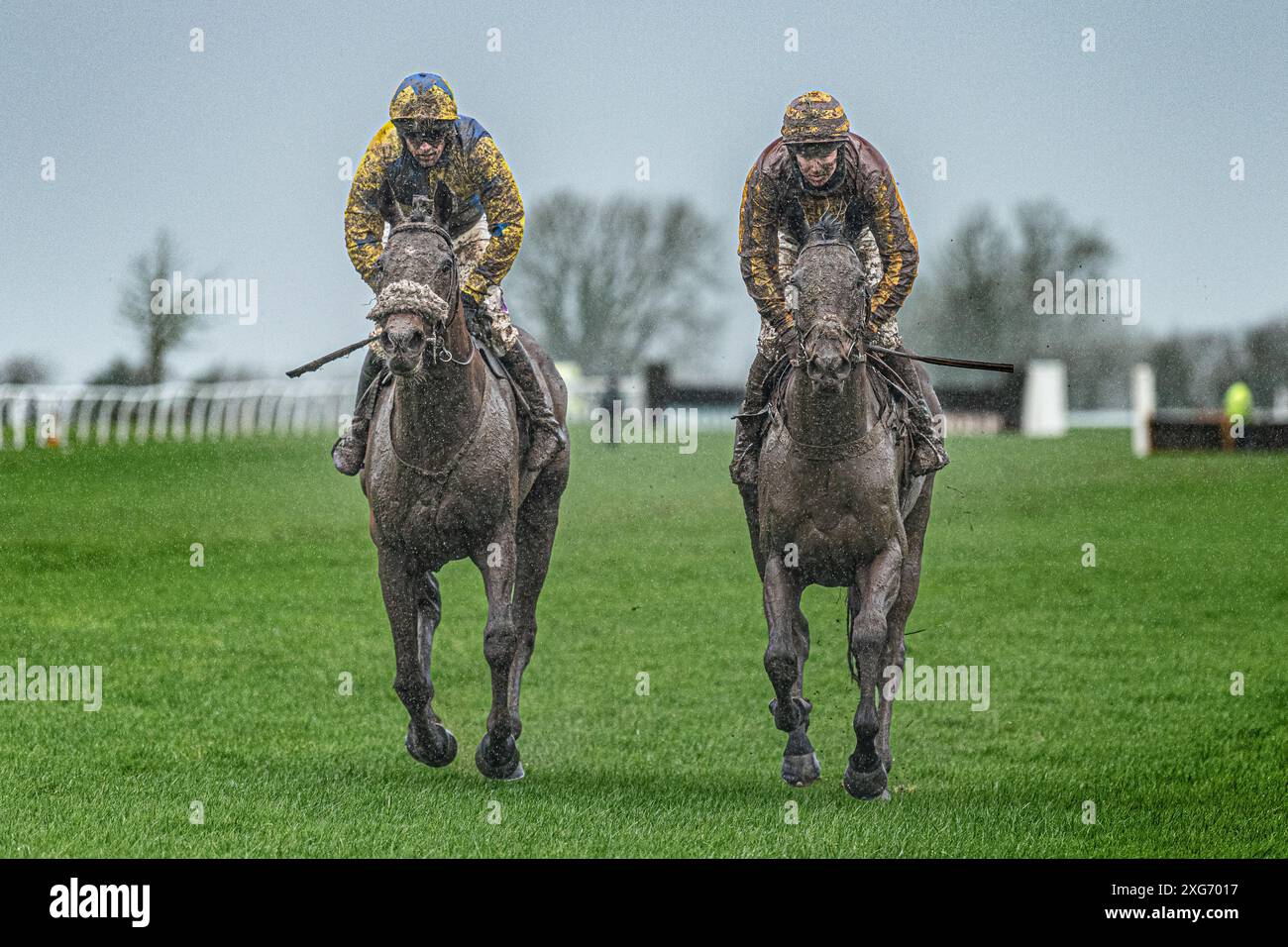 Wincanton races, Sixth race, January 8th 2022 Stock Photo - Alamy