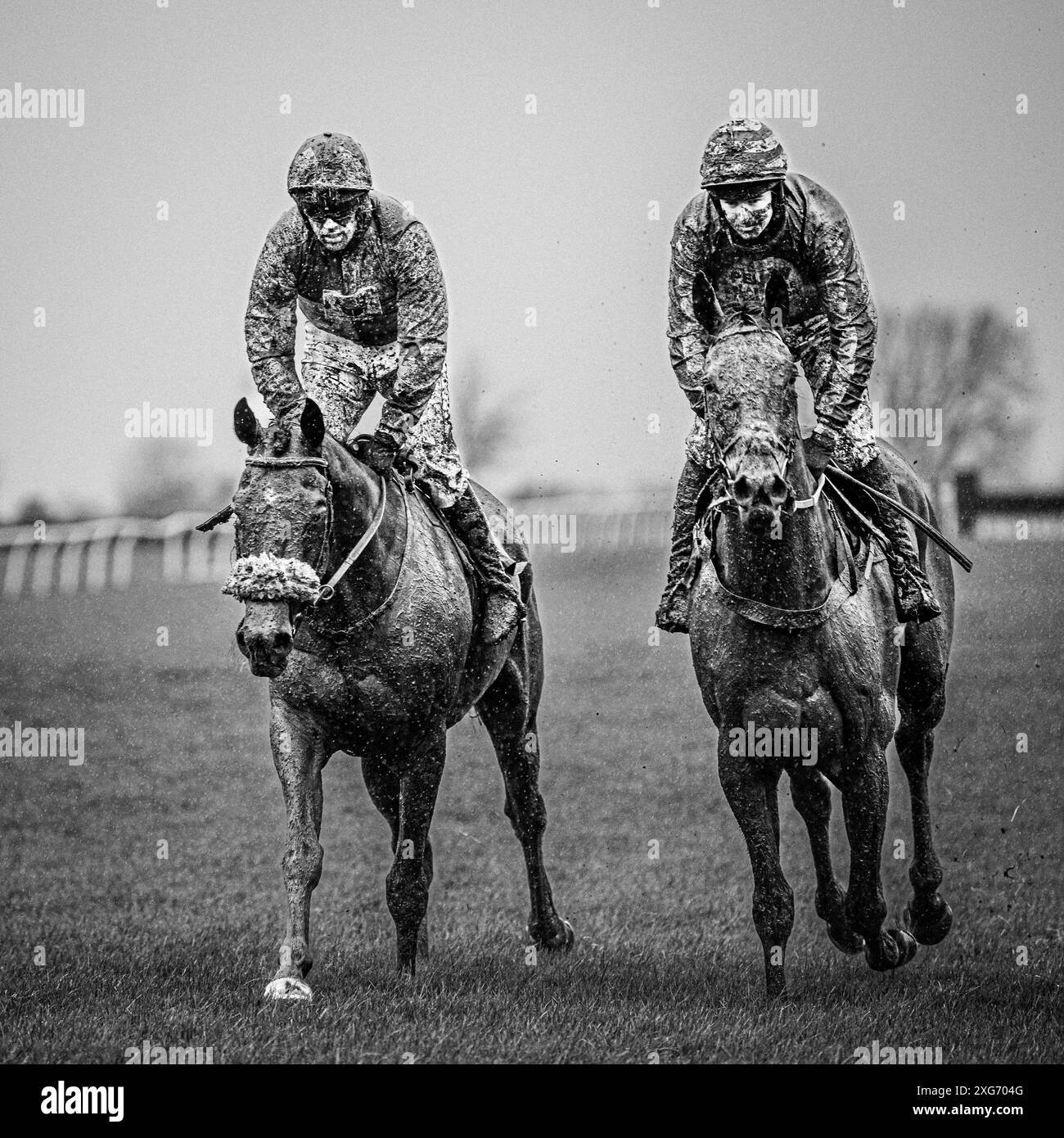 Wincanton horse racing Black and White Stock Photos & Images - Alamy