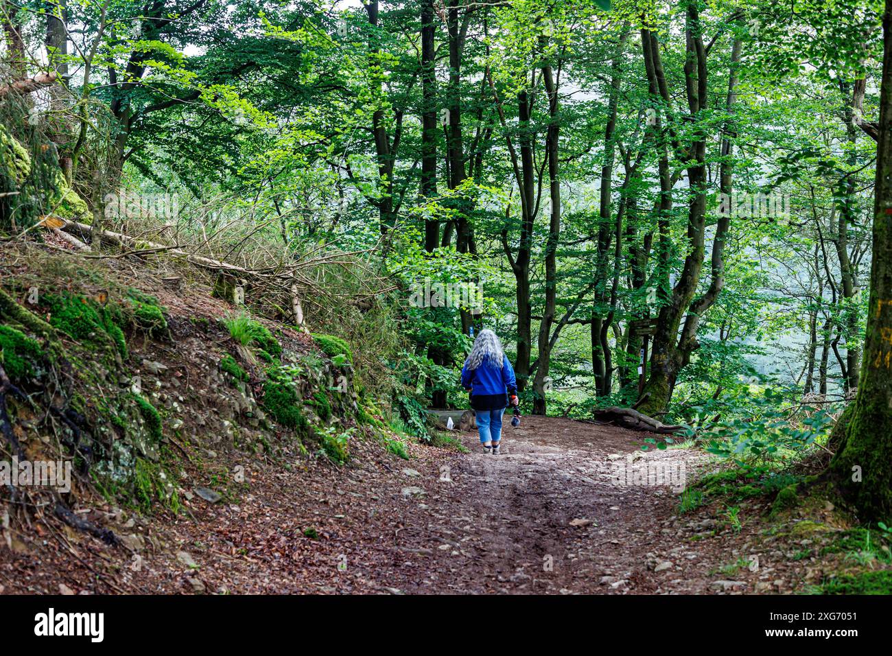 Hiking route on mountain with a female hiker with her back to camera ...