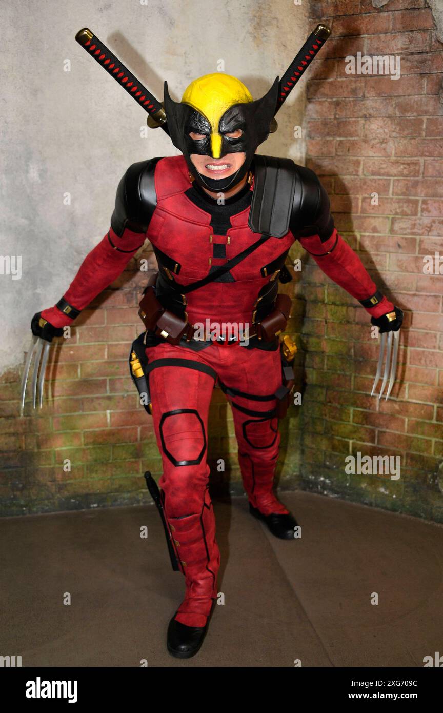 Wolverine / Deadpool Cosplayer auf der German Film Comic Con Babelsberg ...