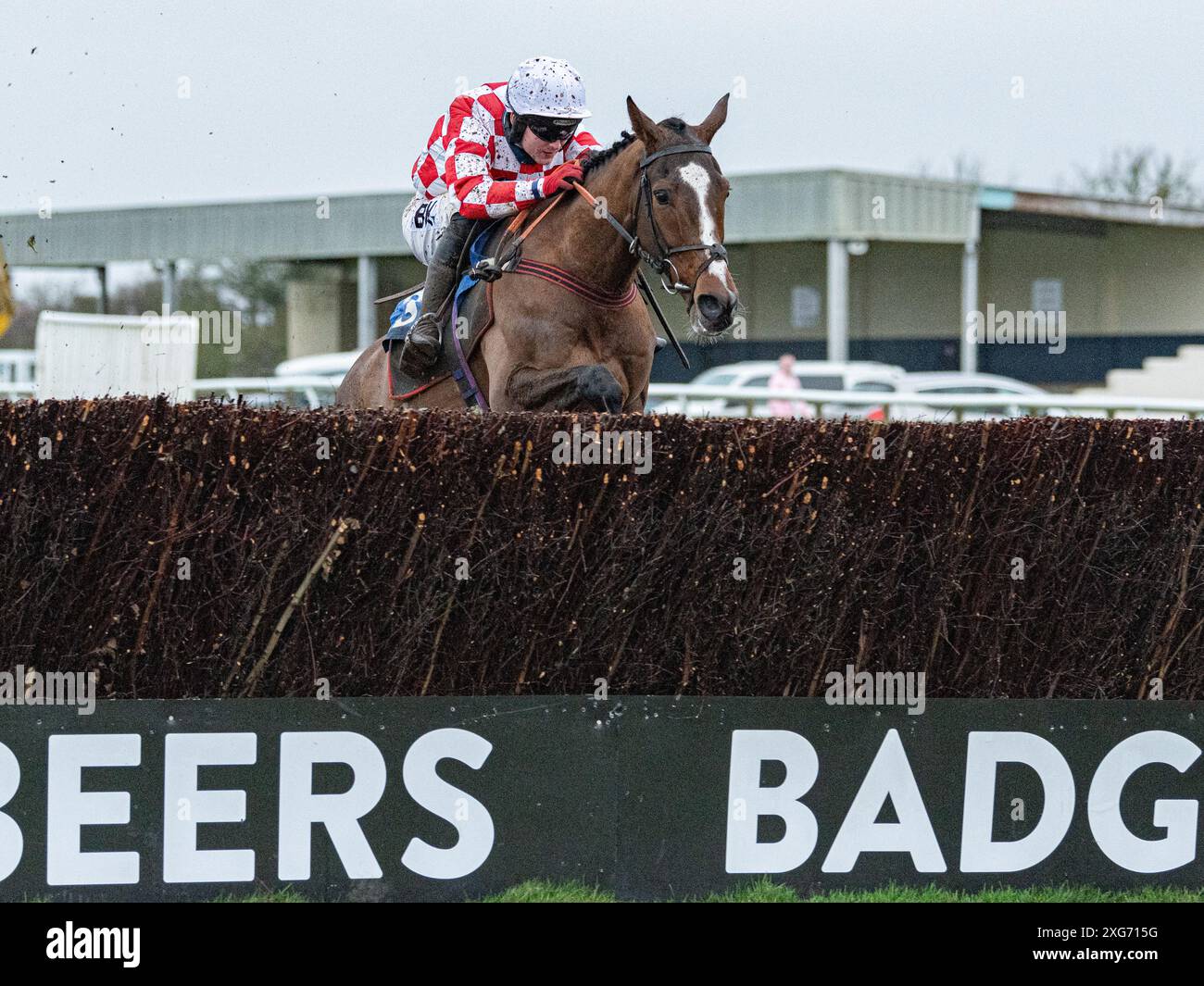 Seventh race at Wincanton, January 8th 2022 Stock Photo - Alamy