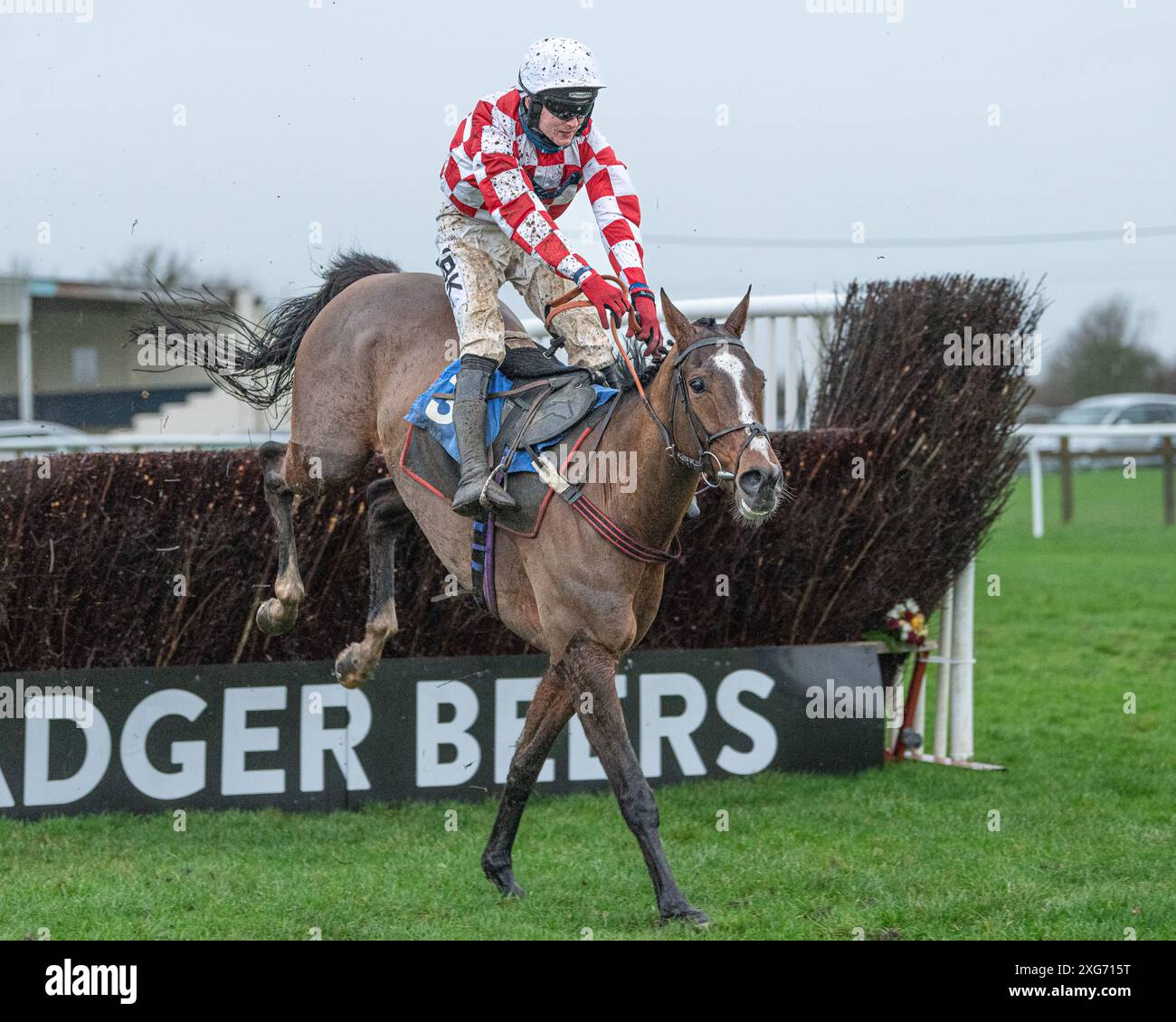Seventh race at Wincanton, January 8th 2022 Stock Photo - Alamy