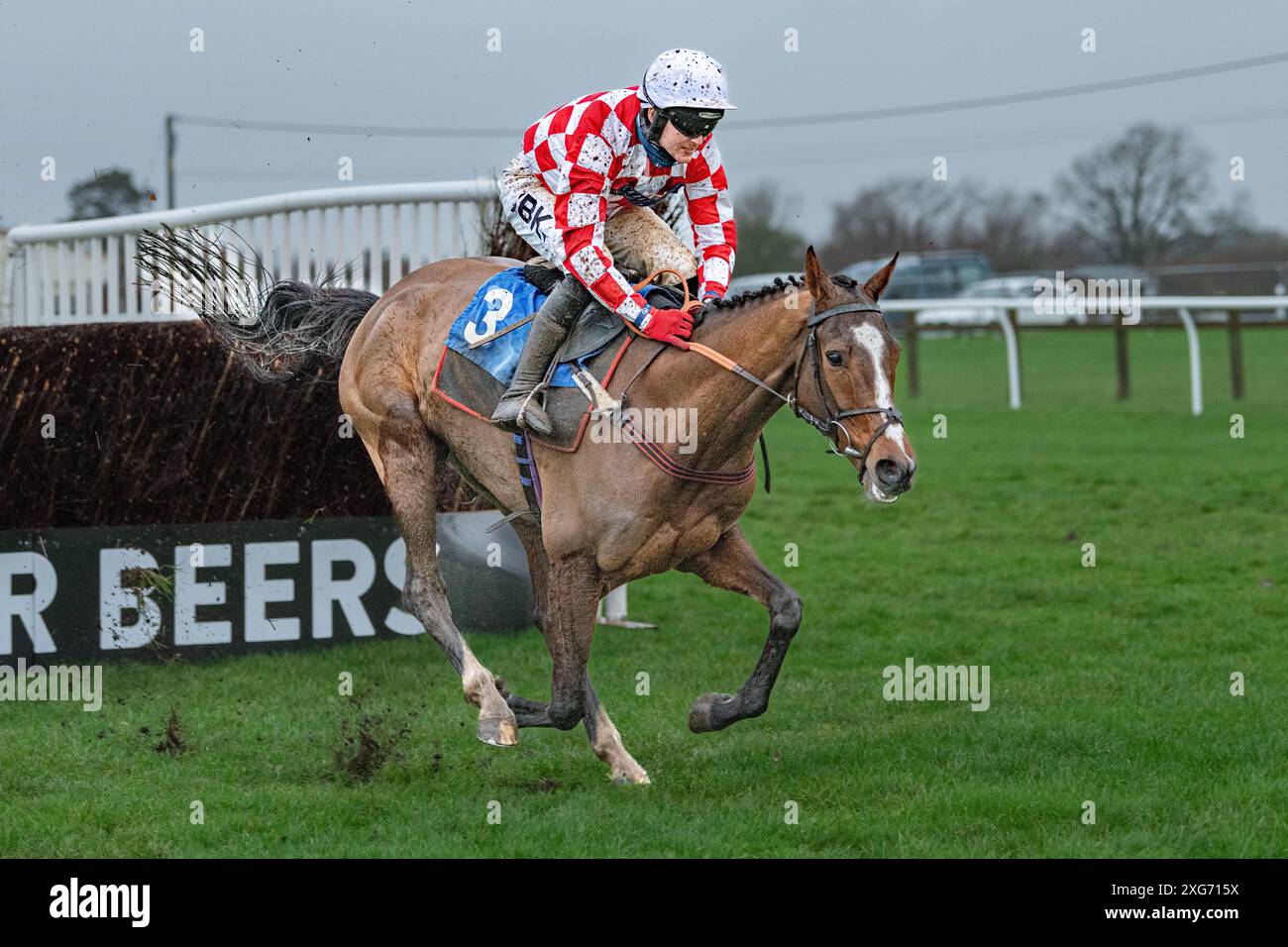Seventh race at Wincanton, January 8th 2022 Stock Photo - Alamy
