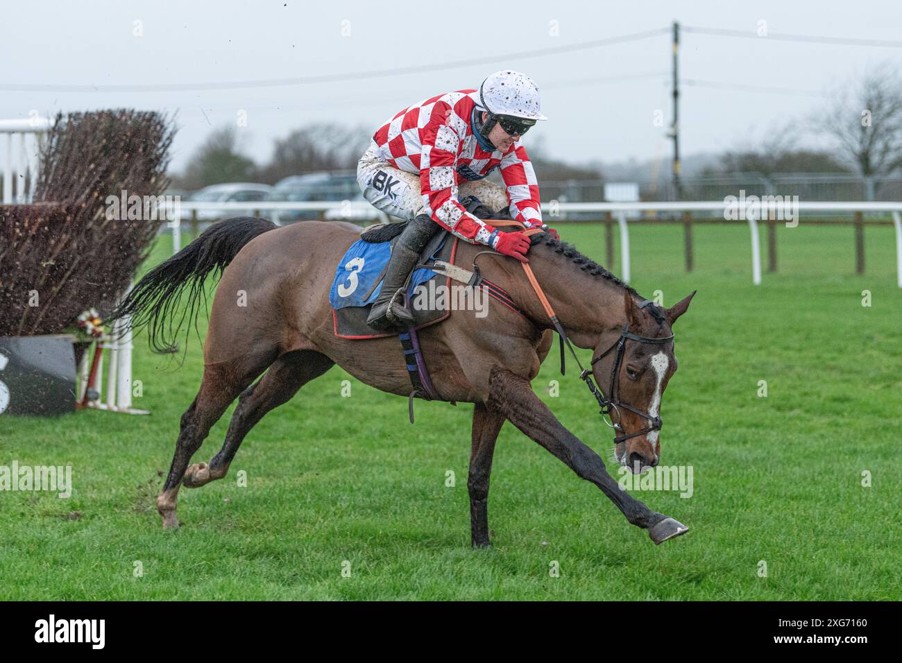 Seventh race at Wincanton, January 8th 2022 Stock Photo - Alamy