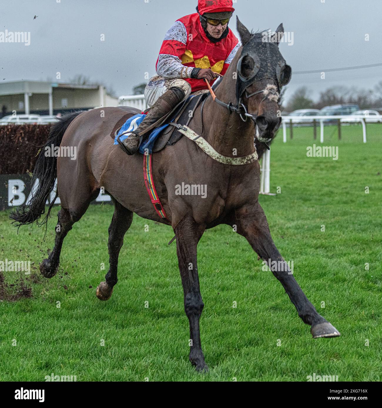 Seventh race at Wincanton, January 8th 2022 Stock Photo - Alamy