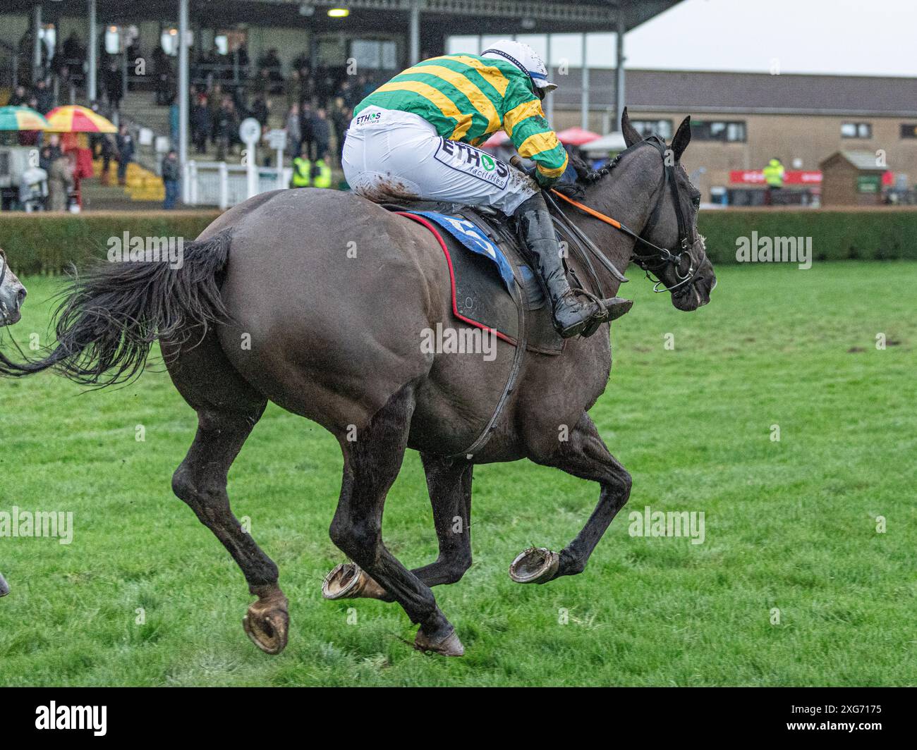 Seventh race at Wincanton, January 8th 2022 Stock Photo - Alamy