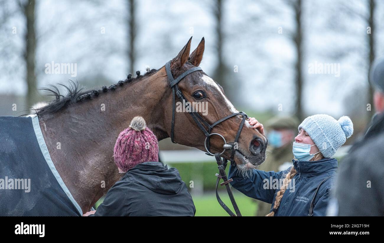 Seventh race at Wincanton, January 8th 2022 Stock Photo - Alamy