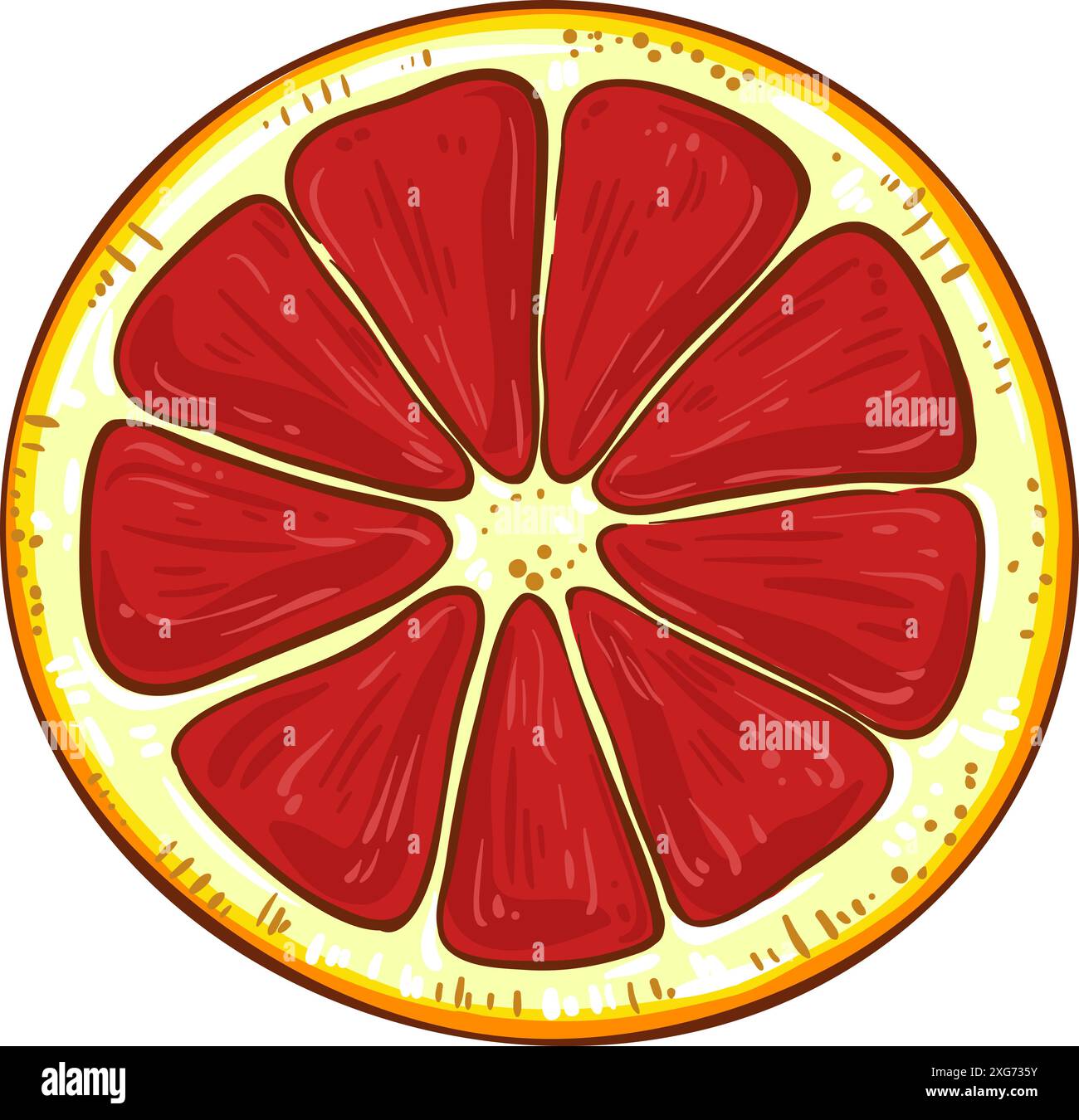 Blood Orange Fruit Colored Detailed Illustration Stock Vector Image ...