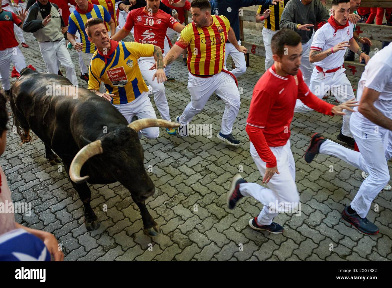 Several runners dressed in white and red run in front of the bull ...