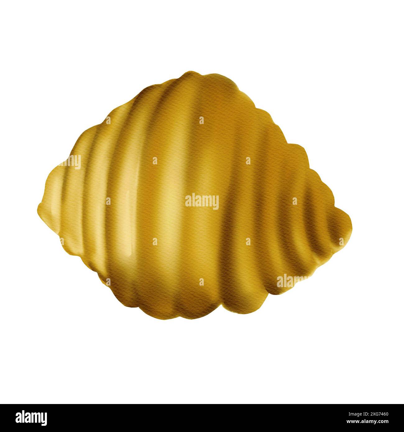 conchiglie rigate Pasta. The shape resembles a small shell. View from ...