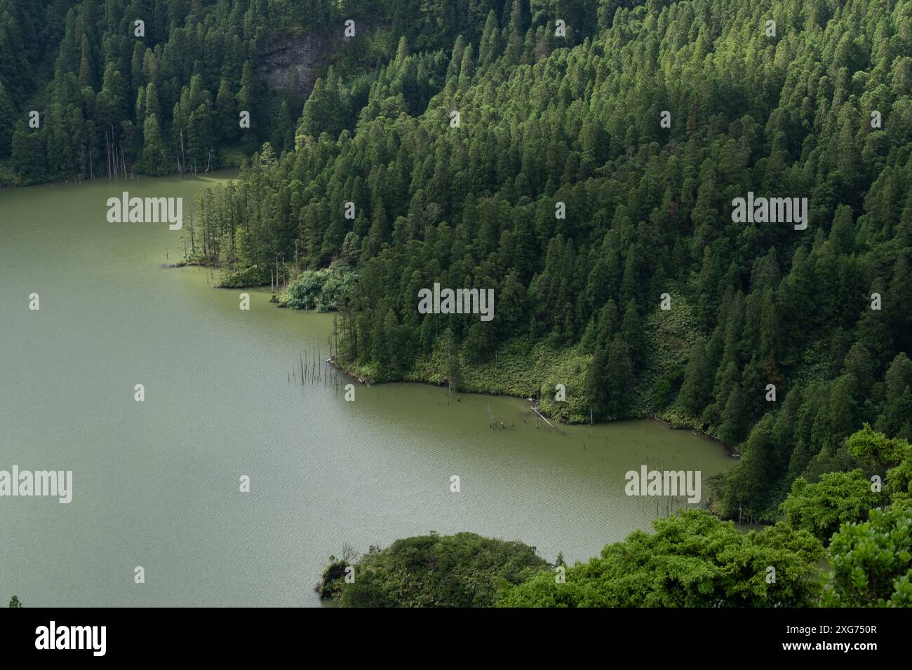 Caldeira Funda, Flores, Azores Stock Photo - Alamy