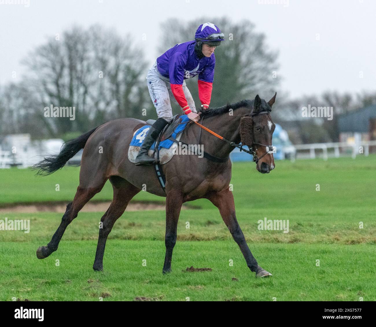 Race 8 at Wincanton Racecourse, January 8th 2022 Stock Photo - Alamy