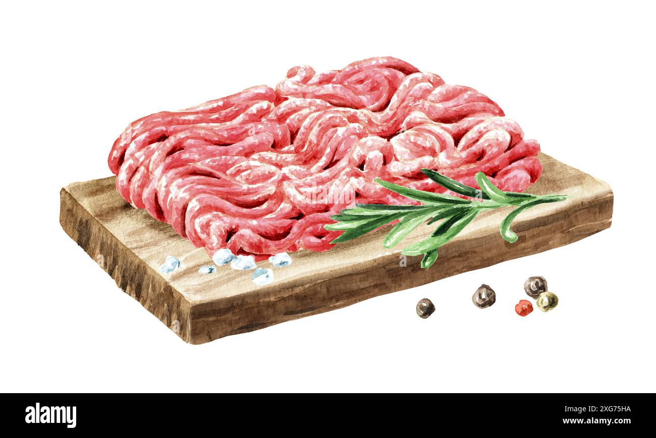 Ground beef, minced meet, Cooking food concept. Hand drawn watercolor ...