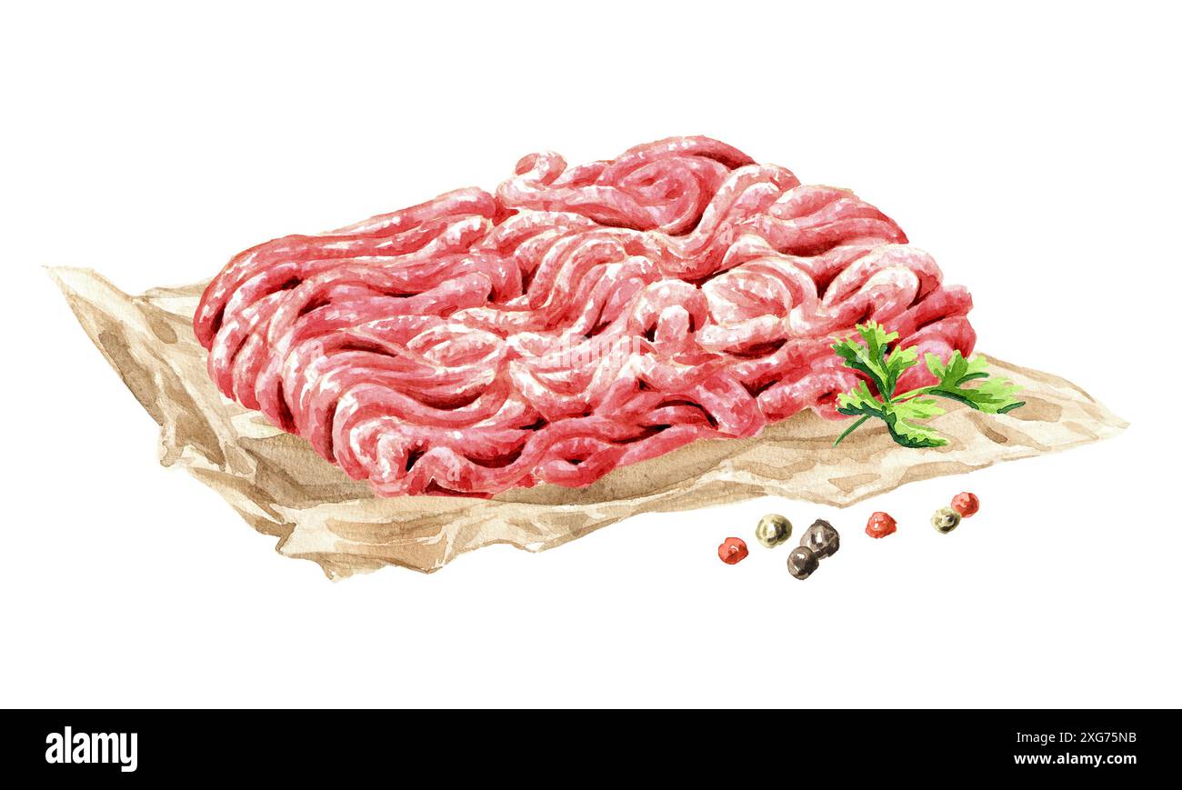 Ground beef, minced meet, Cooking food concept. Hand drawn watercolor ...