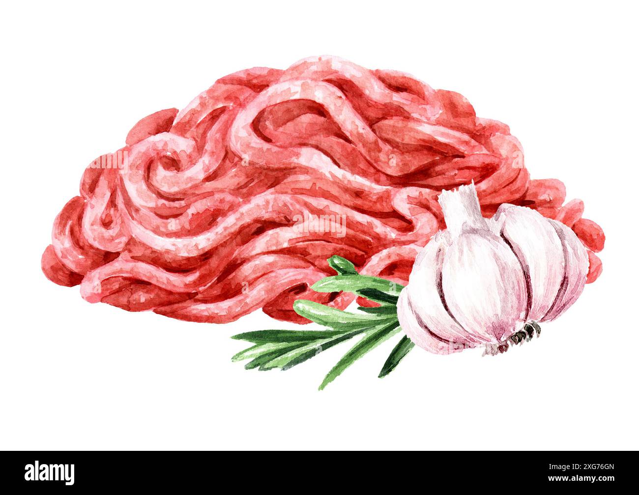 Homemade ground beef, minced meet, Cooking food concept. Hand drawn ...