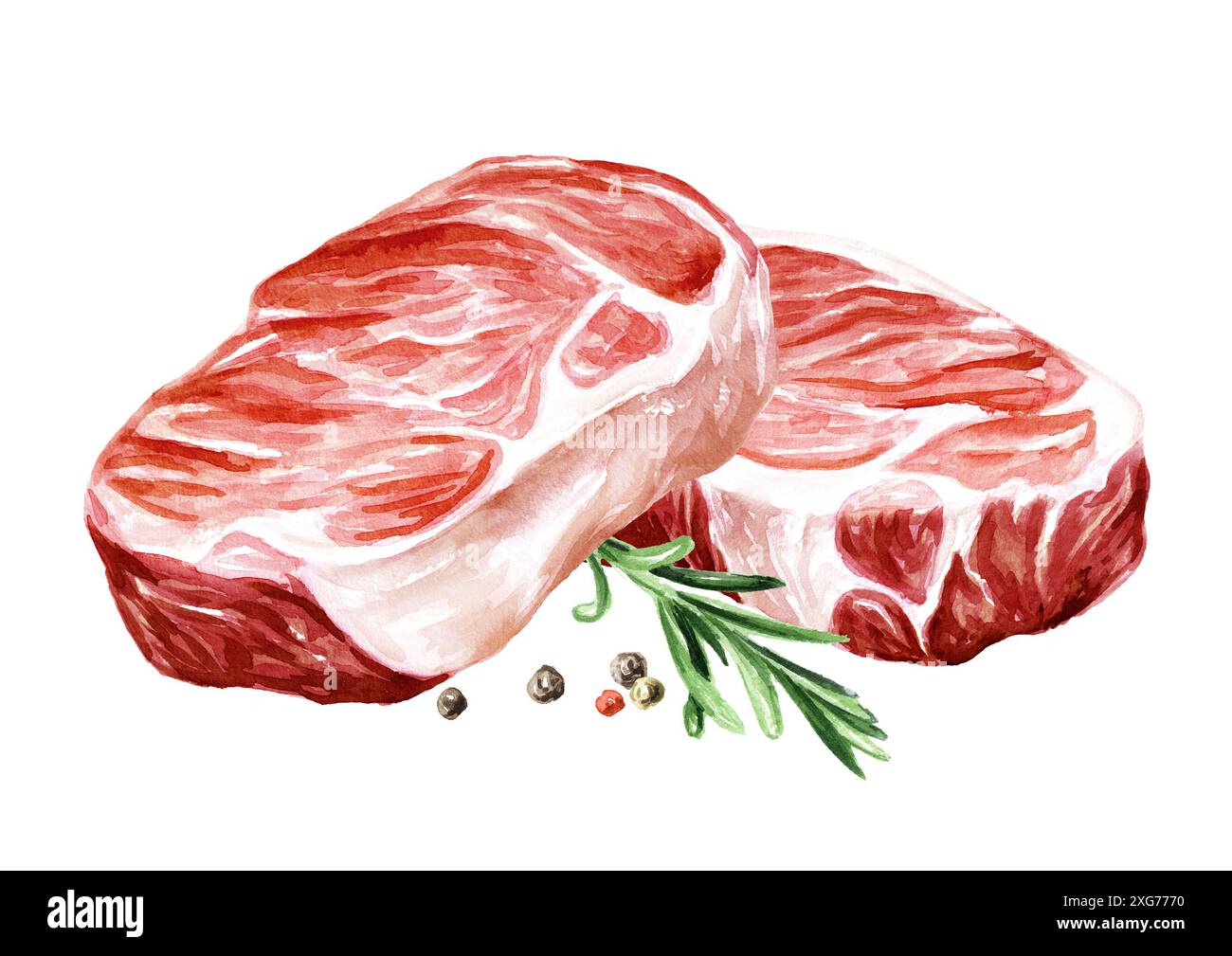 Raw beef steak, food concepts. Hand drawn watercolor illustration ...