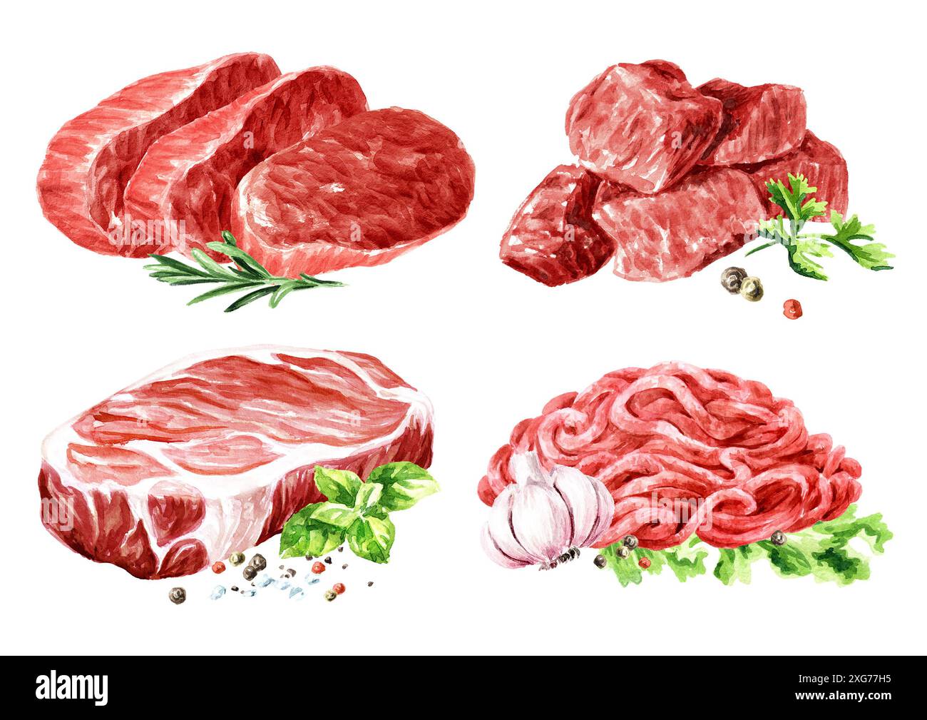Raw fresh organic farm beef steak and minced meat set. Cooking food ...