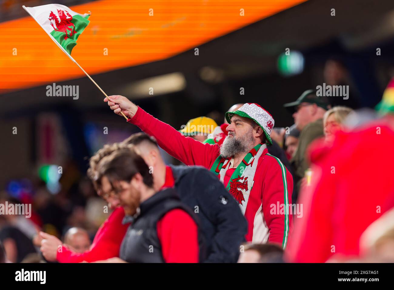 Rugby test in sydney crowd hi-res stock photography and images - Alamy
