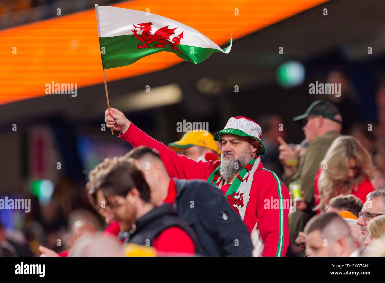 Rugby test in sydney crowd hi-res stock photography and images - Alamy