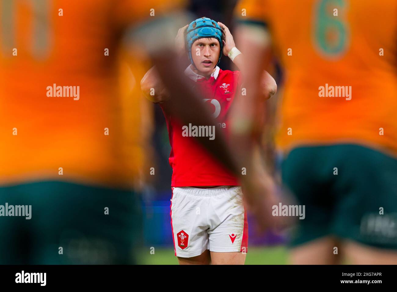 Josh Hathaway of Wales looks on during the Men's Rugby International ...