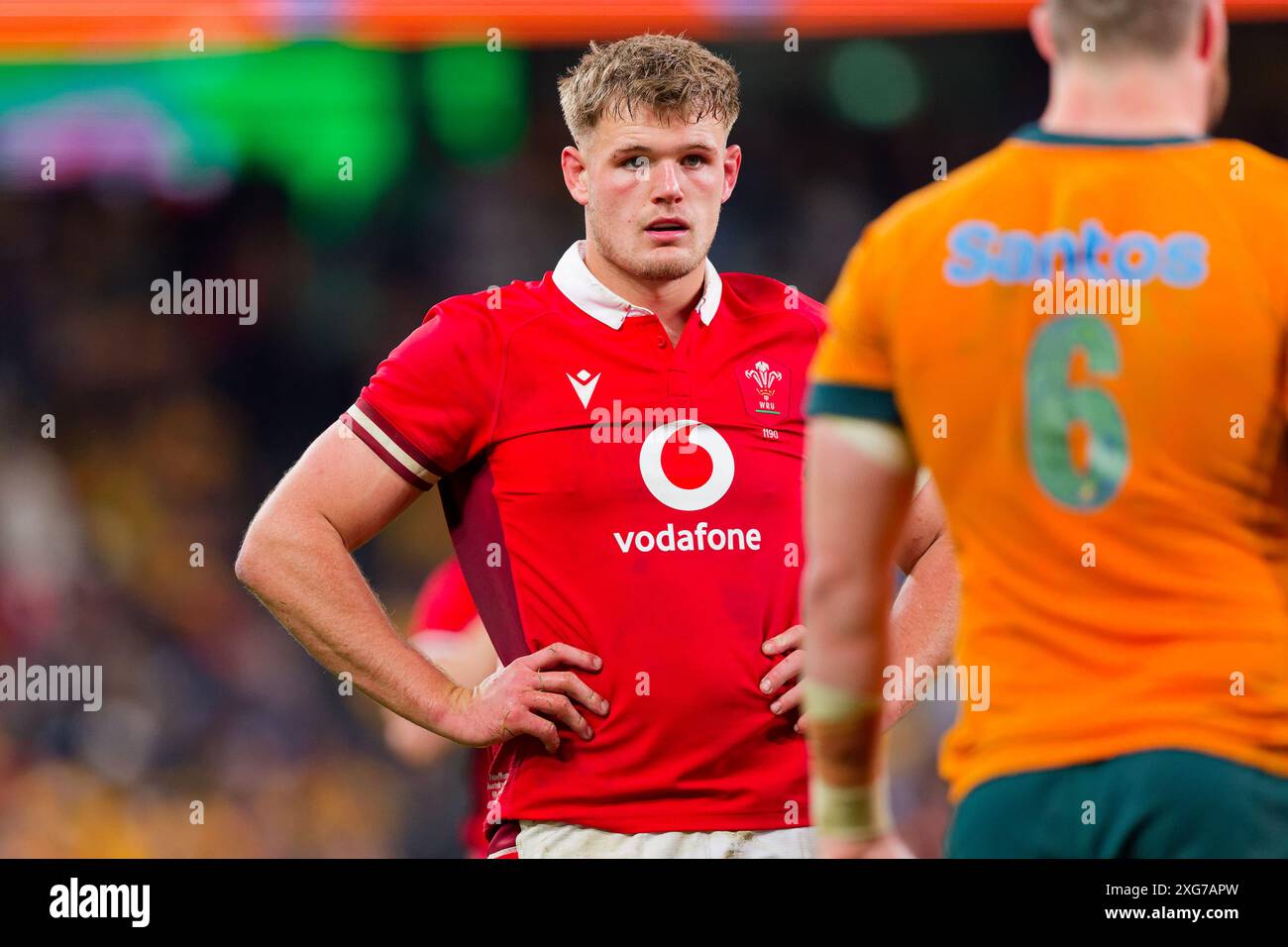 Taine Plumtree of Wales looks on during the Men's Rugby International ...
