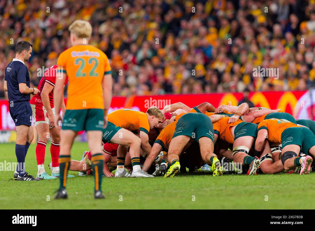 Tate McDermott of Australia feeds the ball into the scrum during the ...