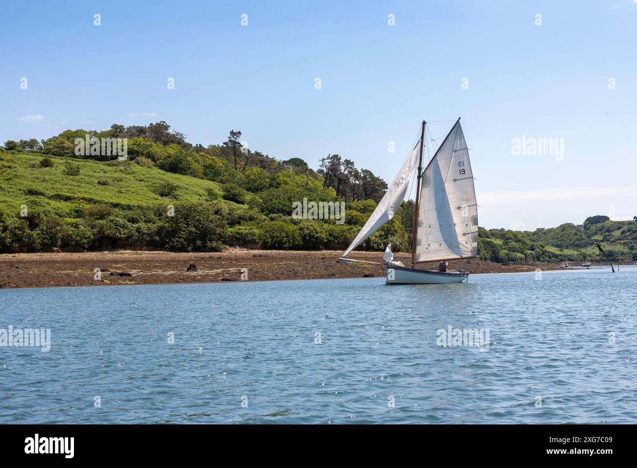Traditional gaff cutter open dayboat sailing on the Aber Wrac'h ...