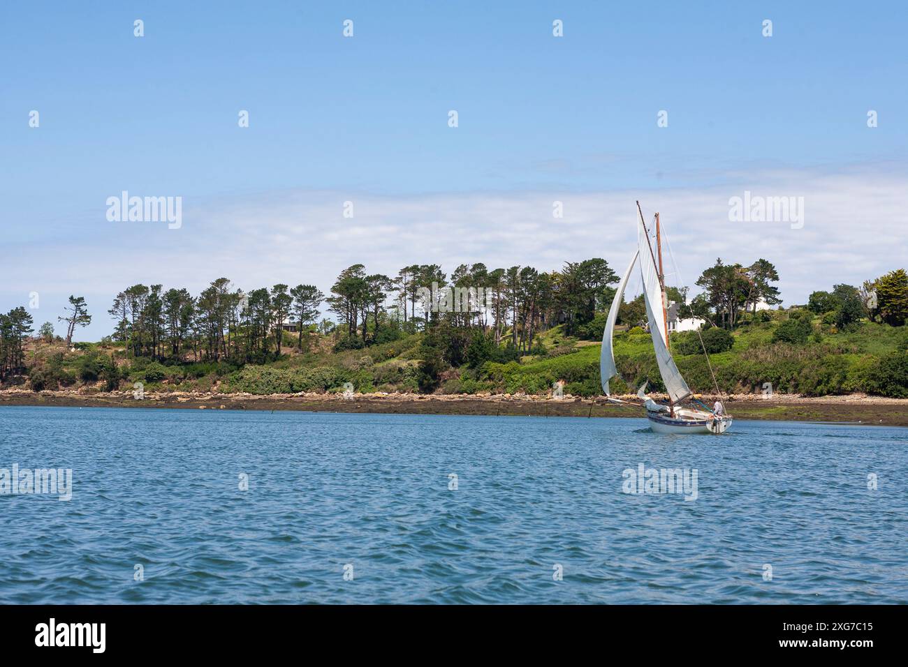 Traditional gaff cutter open dayboat sailing on the Aber Wrac'h ...