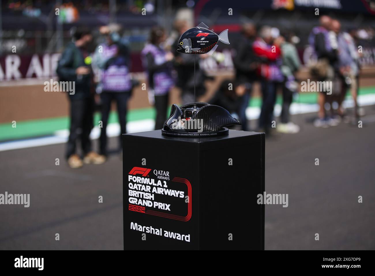 FIA marshall, commissaire de piste, marshal, marshalls, marshals award ...