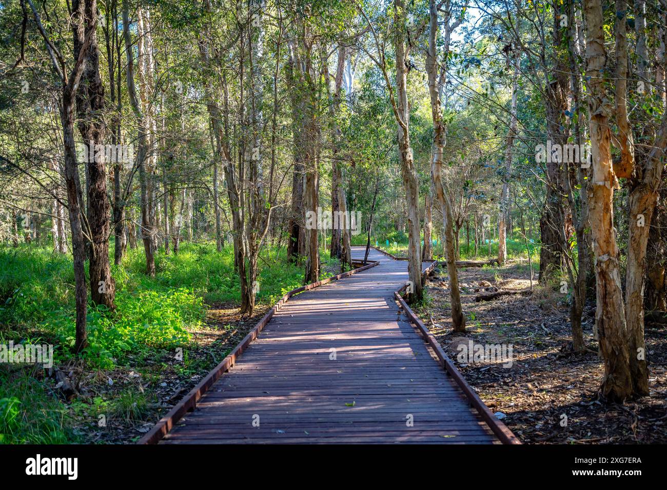 Boardwalk into conservation area hi-res stock photography and images ...