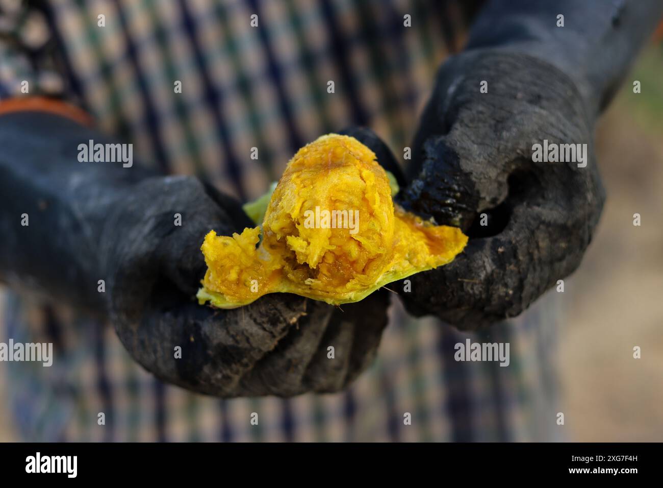 Egyptian farmers hi-res stock photography and images - Alamy