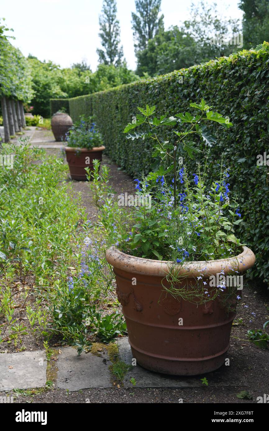 Sissinghurst terracotta pots hi-res stock photography and images - Alamy