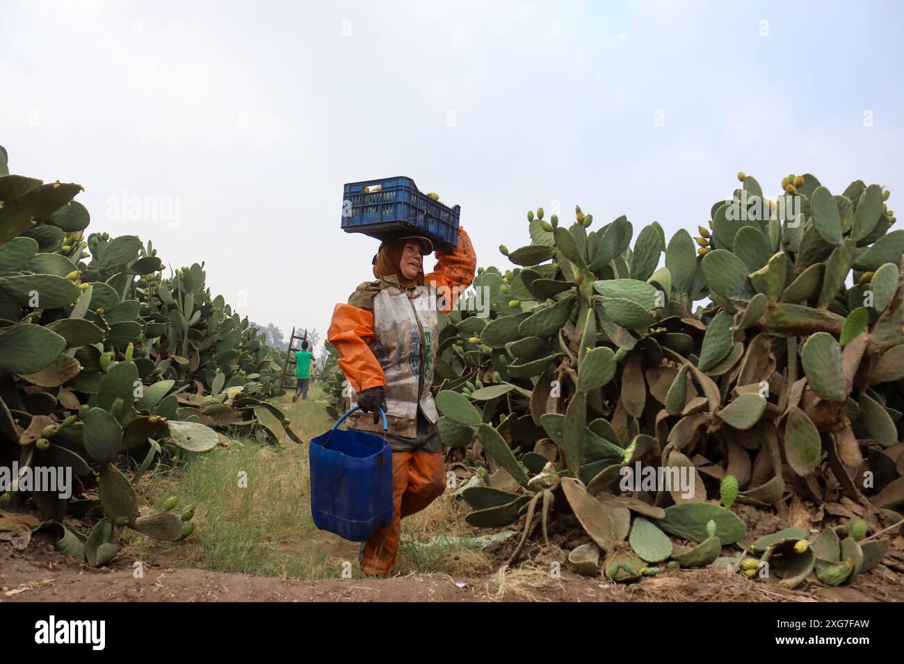Mit kinanh hi-res stock photography and images - Alamy